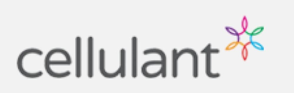 Crisis In Cellulant Nigeria As Co-Founder Resigns, Over 35 Staff ...