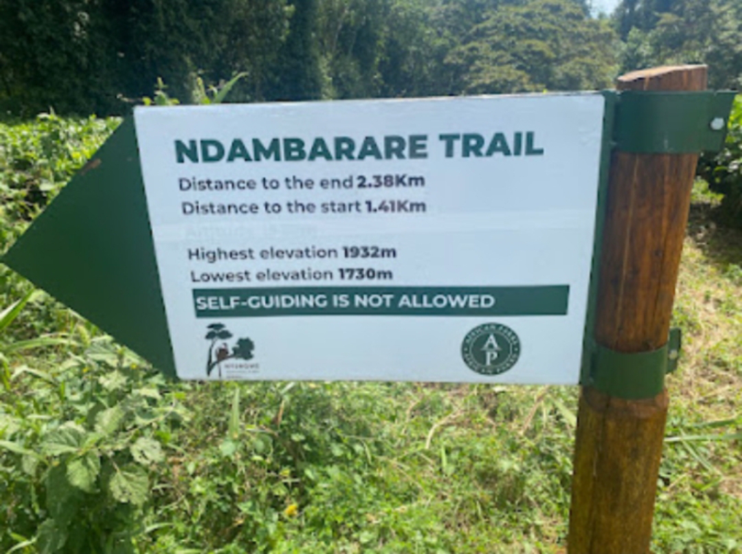 Rwanda: Moving Beyond Genocide To Providing Inspiration