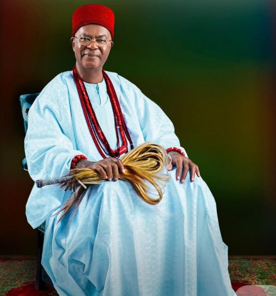 Home - The Octopus News